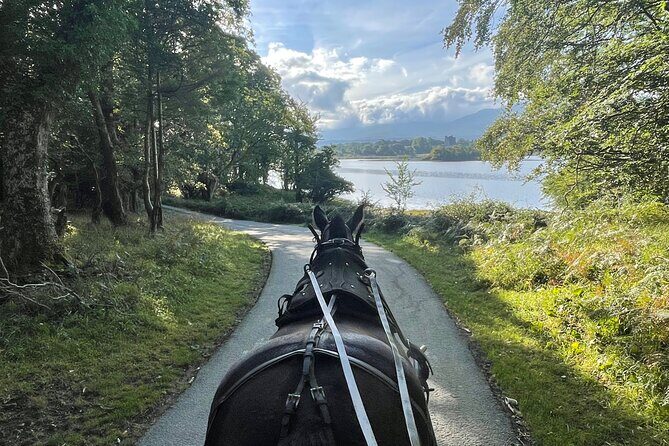 Horse-Drawn Carriage Tours in Killarney - Key Points