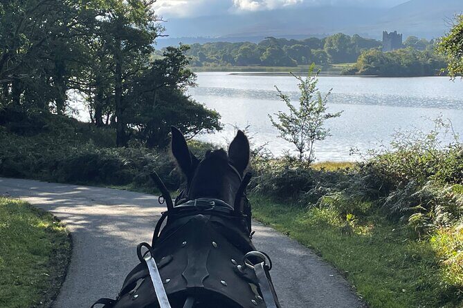Horse-Drawn Carriage Tours in Killarney - The Sum Up: Who Will Love this Tour?