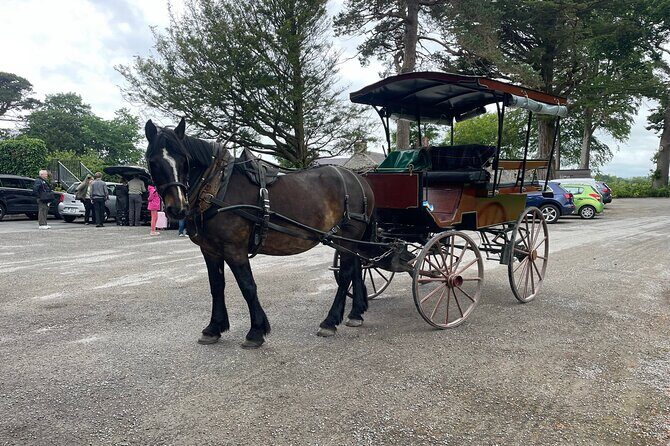 Horse-Drawn Carriage Tours in Killarney - FAQ