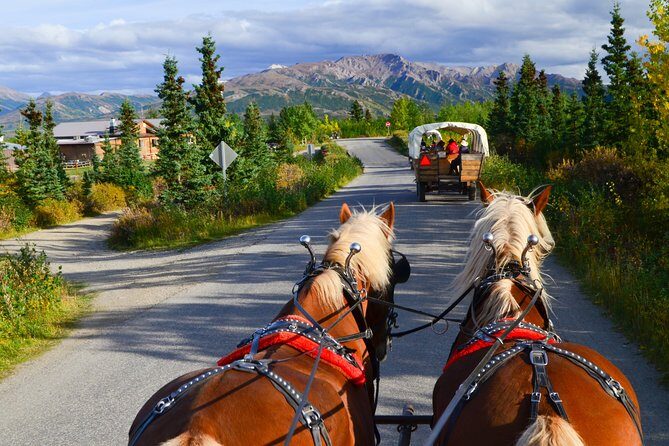 Horse-Drawn Covered Wagon Ride with Backcountry Dining - What to Expect on the Ride