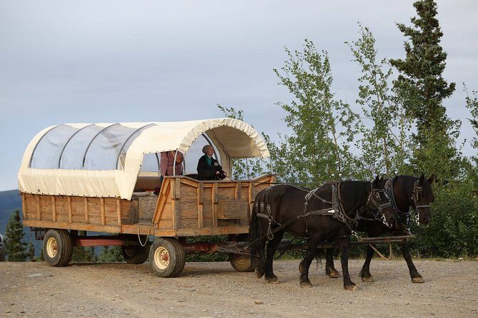 Horse-Drawn Covered Wagon Ride with Backcountry Dining - Authenticity and Value