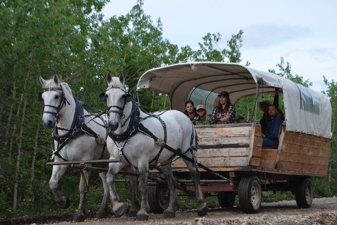 Horse-Drawn Covered Wagon Ride with Backcountry Dining - FAQ