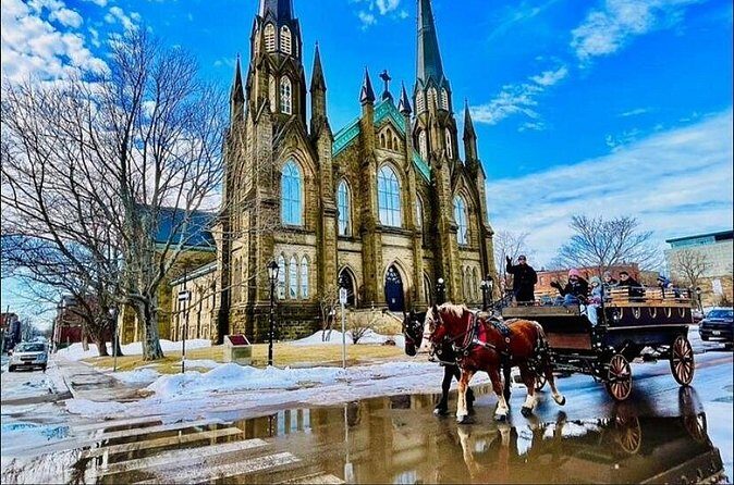 Horse Drawn Historical Guided Tour - Key Points
