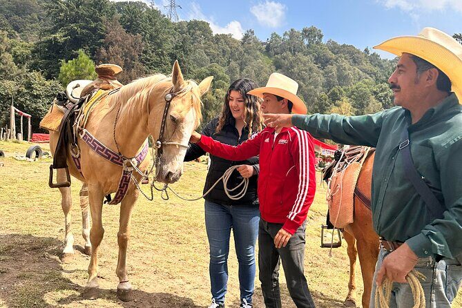Horse experience with my family - Key Points