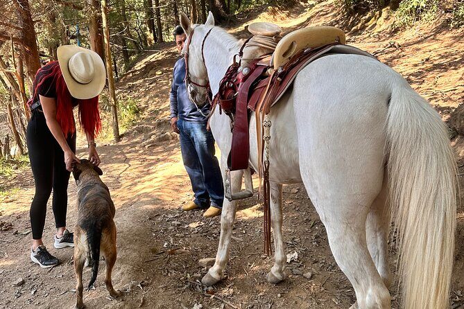 Horse experience with my family - The Rest Stop and Authentic Mexican Meal