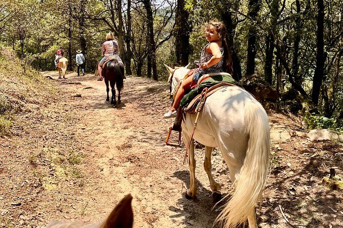 Horse experience with my family - Authenticity and Personal Touch