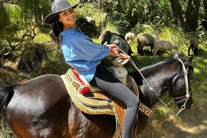 Horse experience with my family - Cost and Value: Is it Worth It?