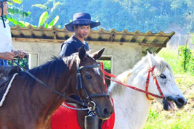 Horse Lesson+Riding+Wat Tonkwen wooden temple.Chiangmai - The Sum Up