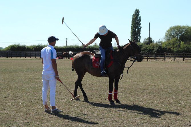 Horse & Polo in Windsor, UK - What You Receive: Value and Comfort