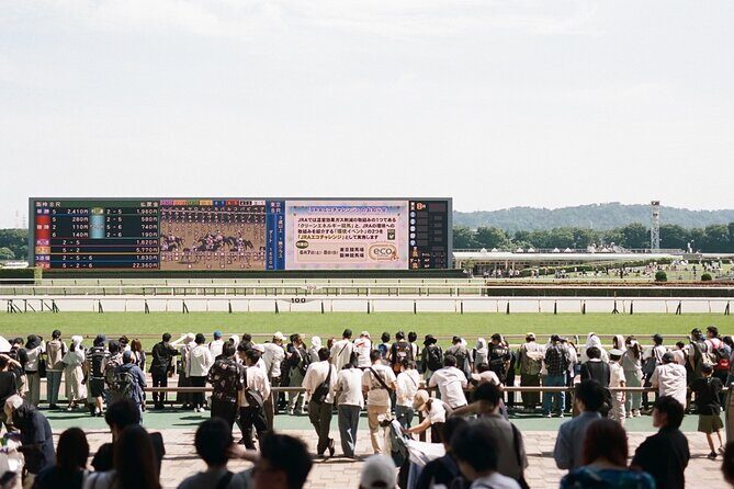 Horse Racing Tour with Local Fans in Tokyo - The Real Value of the Experience