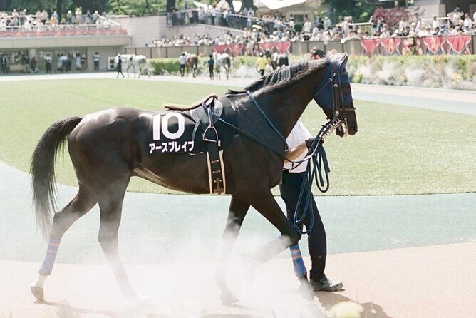 Horse Racing Tour with Local Fans in Tokyo - Summary of Benefits and Drawbacks