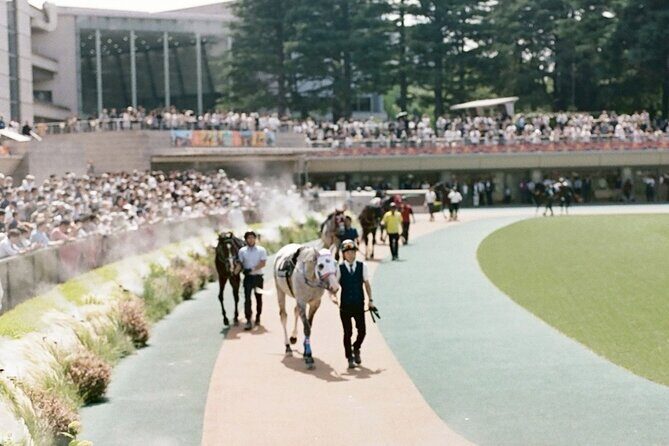 Horse Racing Tour with Local Fans in Tokyo - The Sum Up