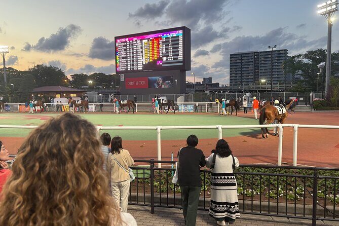 Horse Racing Tour with Local Fans in Tokyo, Oi Racecourse - Key Points