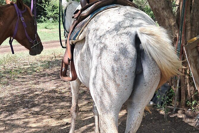 Horse Ride and Hike Tour to Pigeon Island with Lunch with Dore's - An Adventure in Nature and History