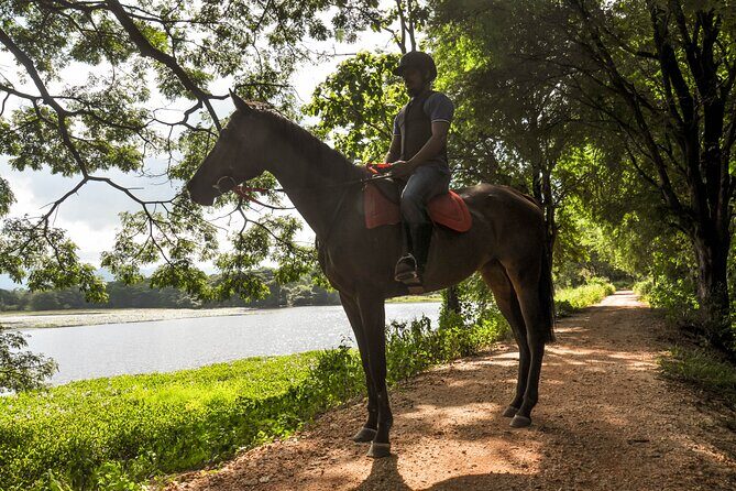 Horse Ride around a Village from Sigiriya - Key Points