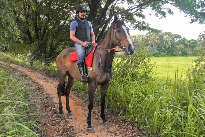 Horse Ride around a Village from Sigiriya - Authentic Experiences and Real Feedback