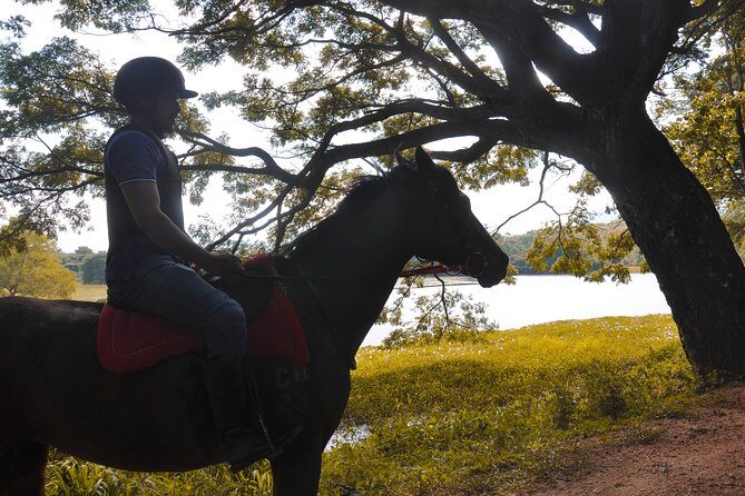 Horse Ride around a Village from Sigiriya - Practical Details: Booking, Timing, and Tips