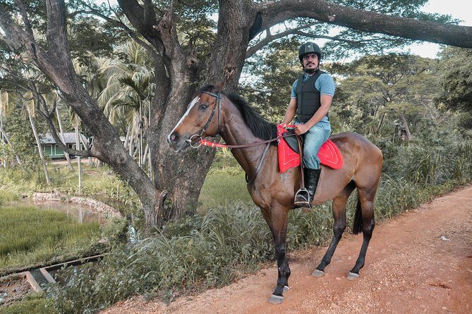 Horse Ride around a Village from Sigiriya - Who Should Consider This Tour?
