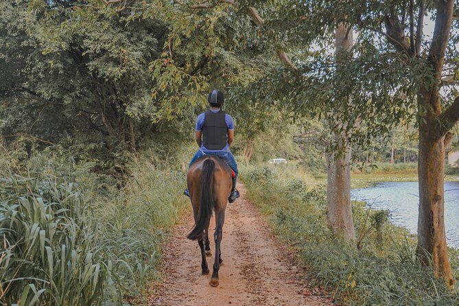 Horse Ride around a Village from Sigiriya - The Sum Up