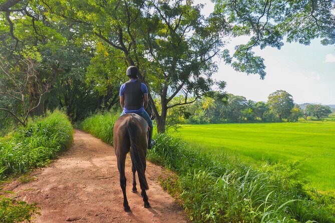 Horse Ride Experience from Dambulla - Who Is This Experience Best For?