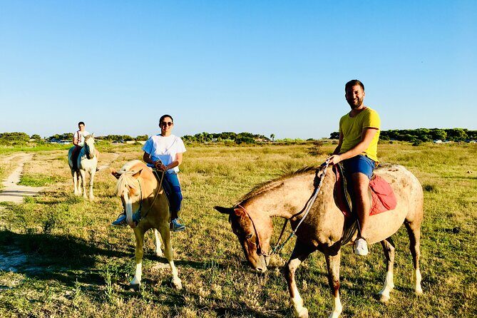 Horse ride in a Salento Nature Reserve with transfer from Lecce - Introduction