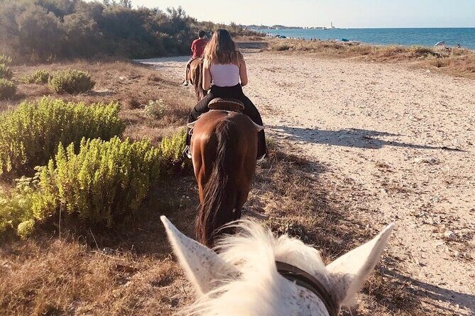 Horse ride in a Salento Nature Reserve with transfer from Lecce - Why Choose This Tour?