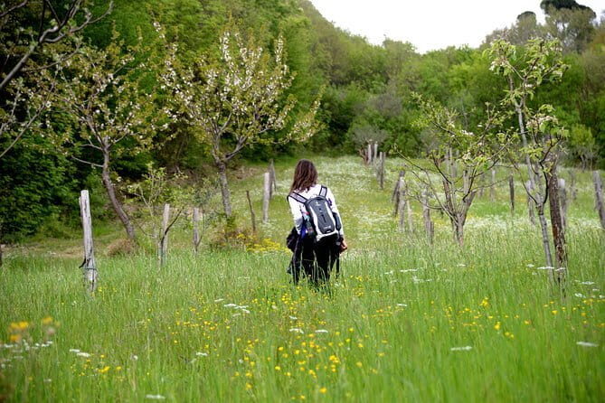 Horse ride in the Mugello (transfer from / to Florence) and Tuscan aperitif - Analyzing the Value