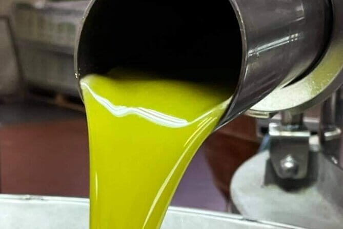 Horse ride, Olive Oil and local foods tasting in a Tuscan farm - Exploring the Experience in Depth: A Full Breakdown