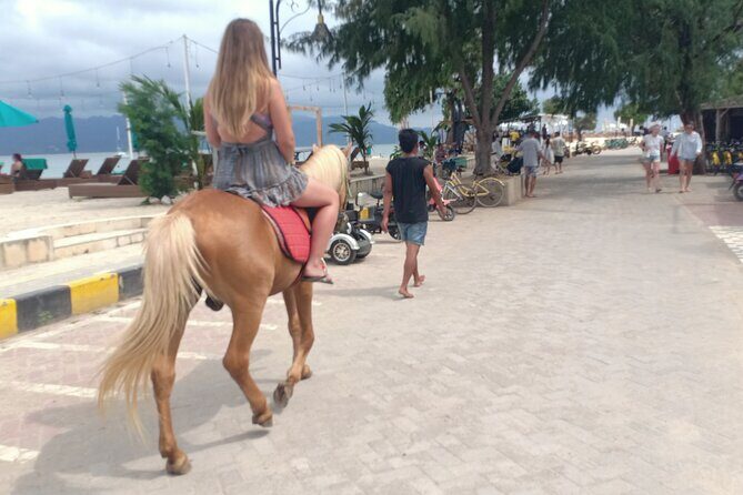 Horse Ride On The Beach Gili Islands - Key Points