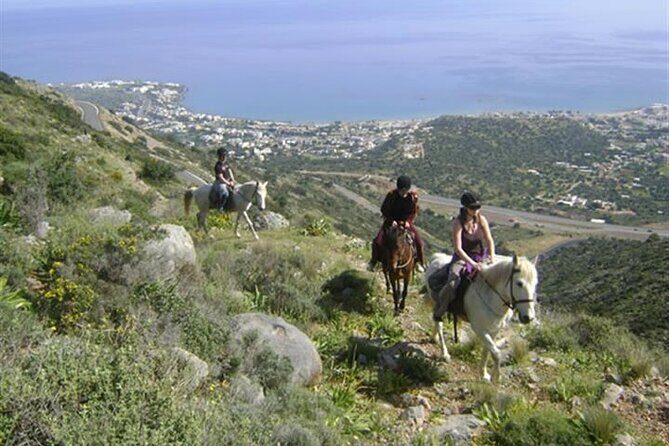HORSE RIDING 1.5 hours mountains from area Hersonissos CRETE - The Review from Travelers