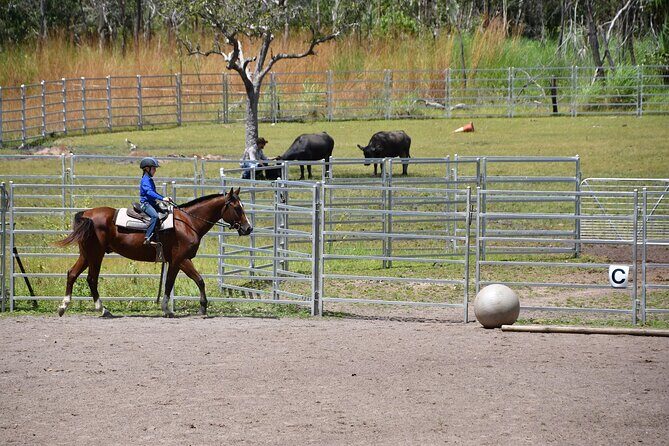 Horse Riding Adventure in the Outback - A Closer Look at the Experience