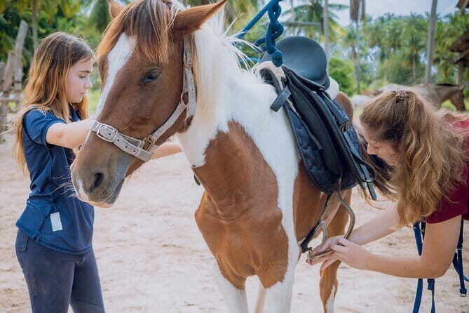 Horse Riding and Beach Trails on Koh Samui - An In-Depth Look at Koh Samui’s Horse Riding and Beach Trails