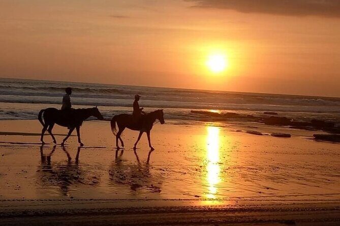 Horse Riding Bali On pigstone beach, Rice Field and village Tour - Key Points