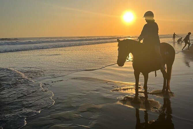 Horse Riding Bali On pigstone beach, Rice Field and village Tour - An In-Depth Look at the Experience