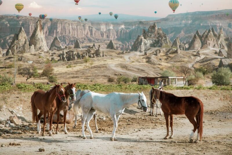 Horse Riding Cappadocia- Cappadocia Horse Farm - Itinerary Breakdown