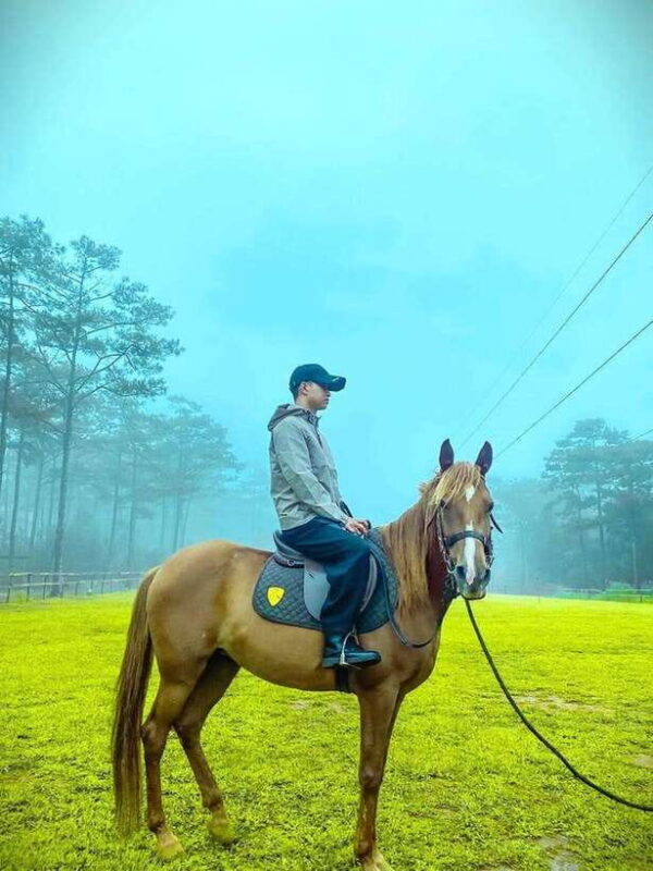 Horse Riding Course in Mang Den with Pickup and Drinks - Experience a Kid-Friendly, Authentic Horseback Riding Adventure in Mang Den