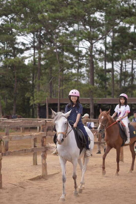 Horse Riding Course in Mang Den with Pickup and Drinks - The Value of This Horse Riding Experience