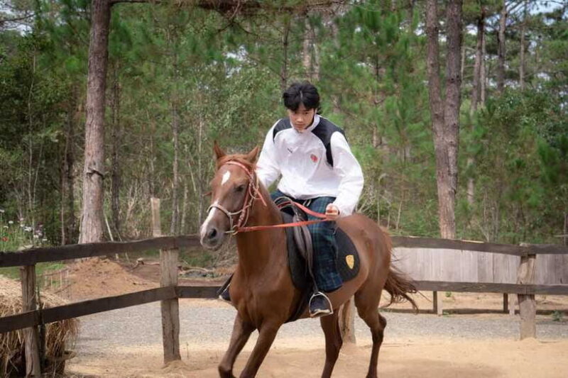 Horse Riding Course in Mang Den with Pickup and Drinks - Who Should Consider This Experience?