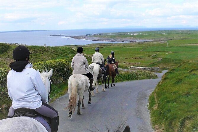 Horse riding - Dirt Trek Trail. Lisdoonvarna, Clare. Guided. 1 hour. - Who Will Love This Experience?