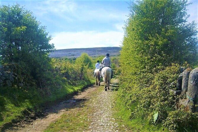 Horse riding - Dirt Trek Trail. Lisdoonvarna, Clare. Guided. 1 hour. - Frequently Asked Questions
