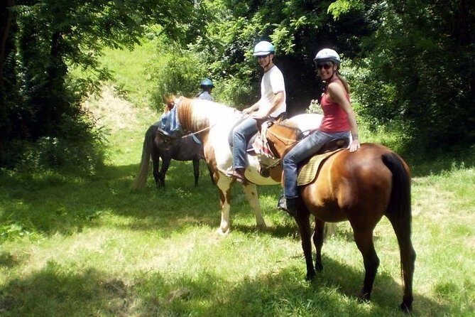 Horse riding excursion - An Honest Look at the Calabrian Horseback Adventure