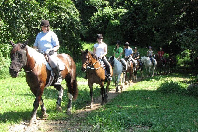 Horse riding excursion - Practical Details: Booking and Logistics