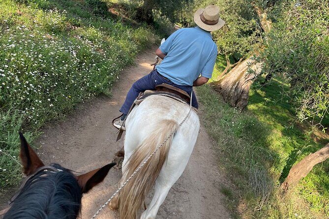 Horse riding excursion - Summary of the Experience