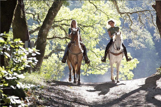 Horse riding excursion - FAQ: Practical Questions Answered