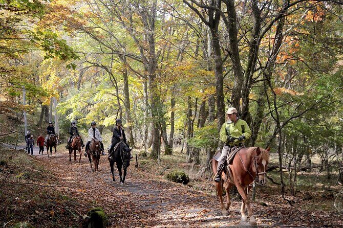 Horse riding Experience in Nature Rich Lake Shirakaba - Key Points