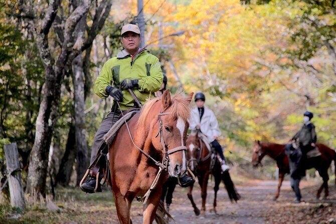 Horse riding Experience in Nature Rich Lake Shirakaba - Who Will Love This Experience?