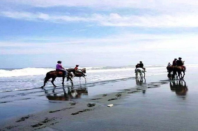 Horse Riding Experience on Black Sand Beach Bali - Who Will Love This Experience?