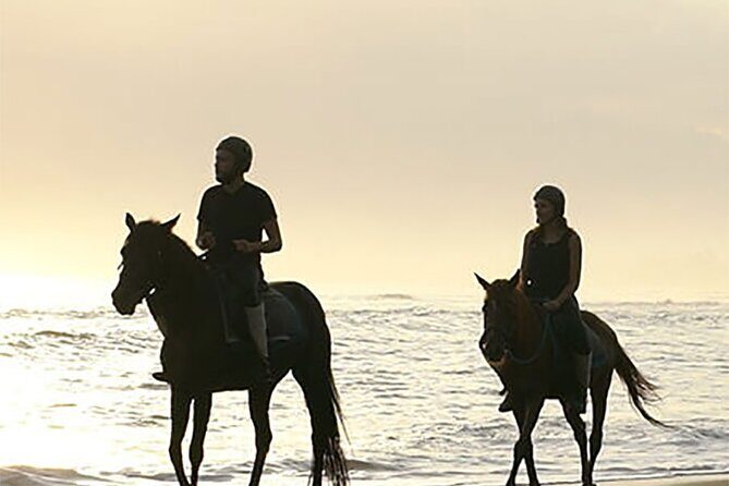 Horse Riding Experience on Black Sand Beach Bali - Who Might Not Find It Suitable?