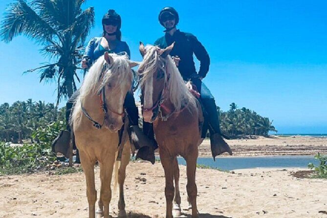 Horse Riding Experience through El Limon Beach - The Itinerary in Detail