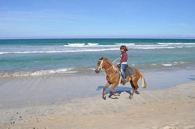 Horse Riding Experience through El Limon Beach - Pricing and Value